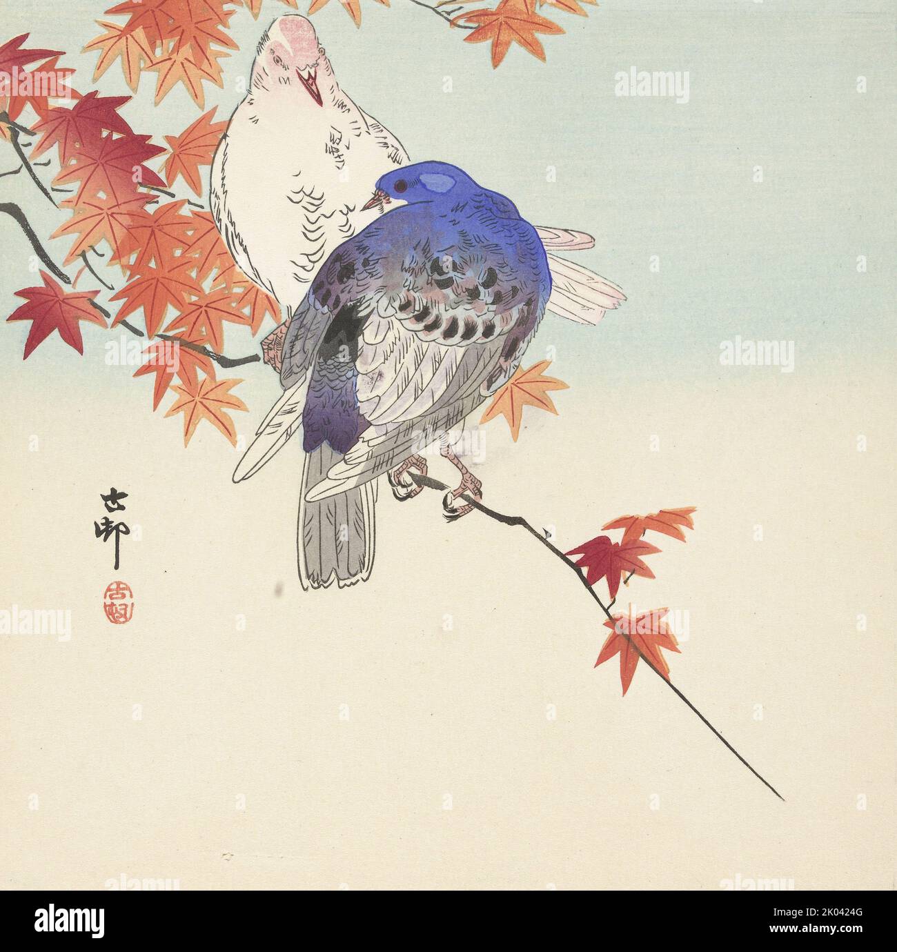 Two pigeons on autumnal branch. Private Collection Stock Photo - Alamy
