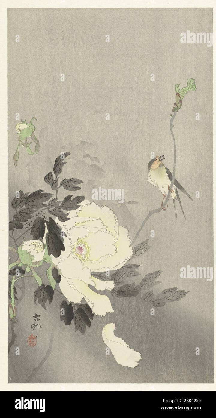 Landscapeanimals and birds hi-res stock photography and images - Alamy