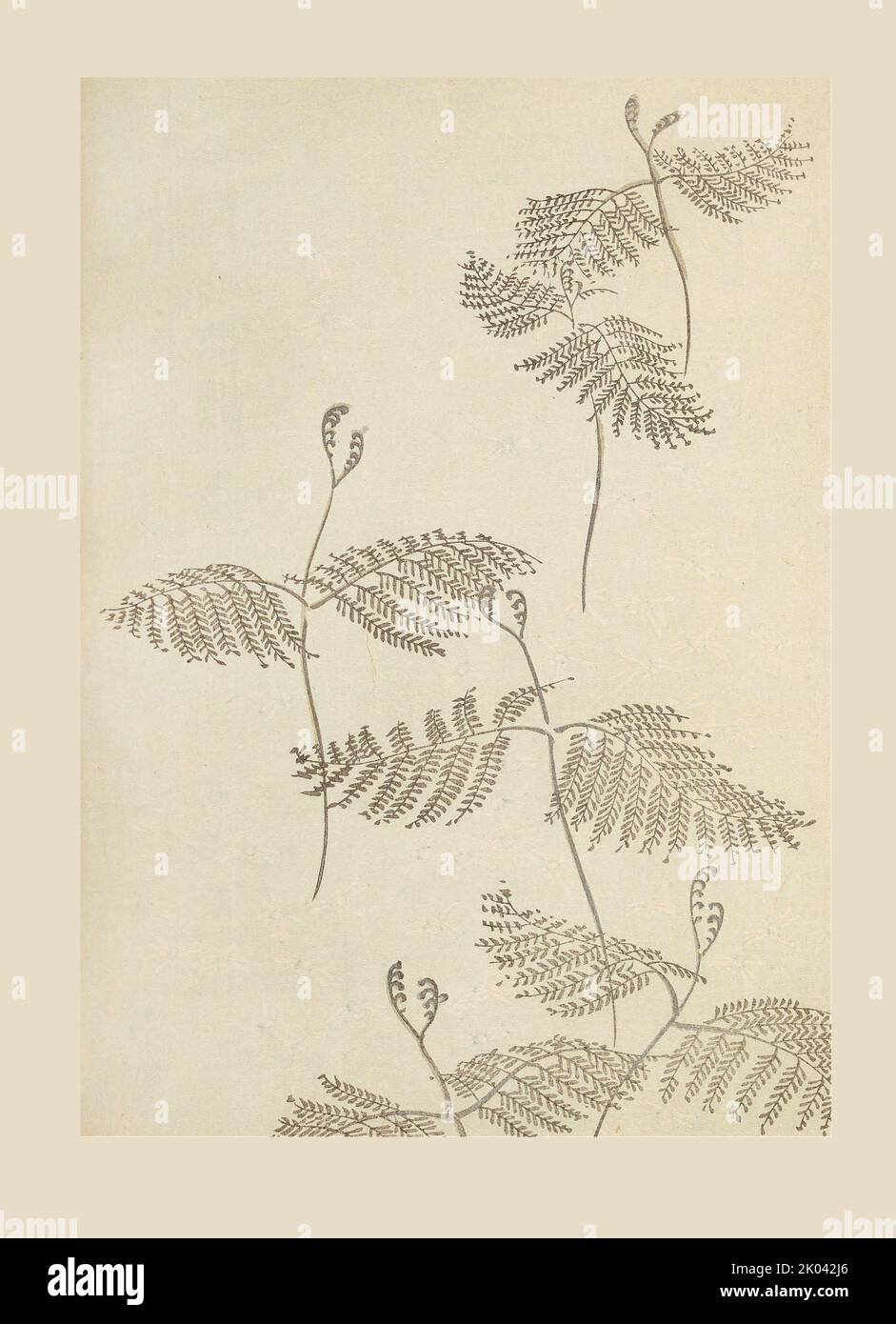 Illustration from "Shin bijutsukai", 1901-1902. Private Collection ...