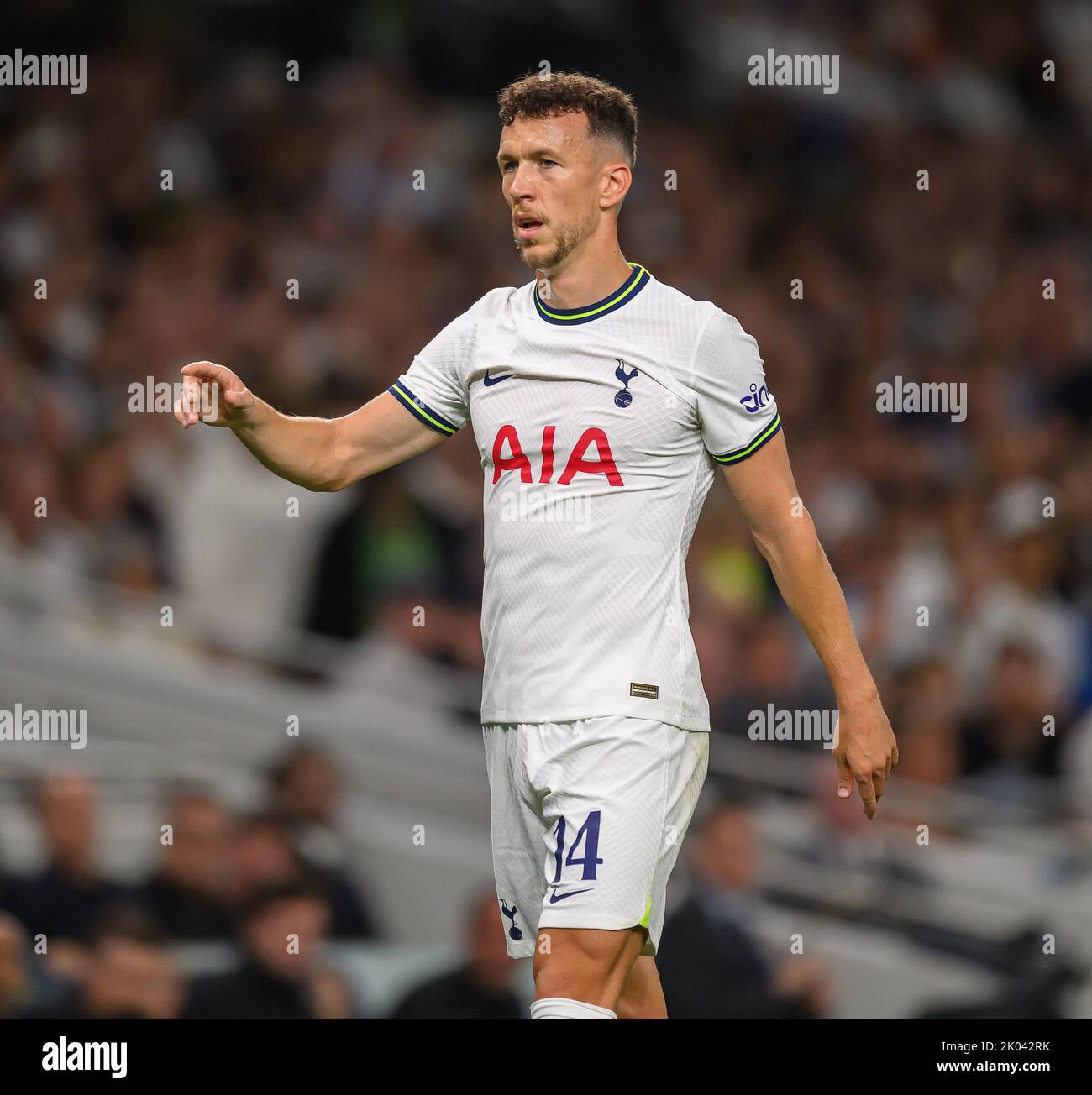 07 Sep 2022 - Tottenham Hotspur v Marseille - UEFA Champions League ...