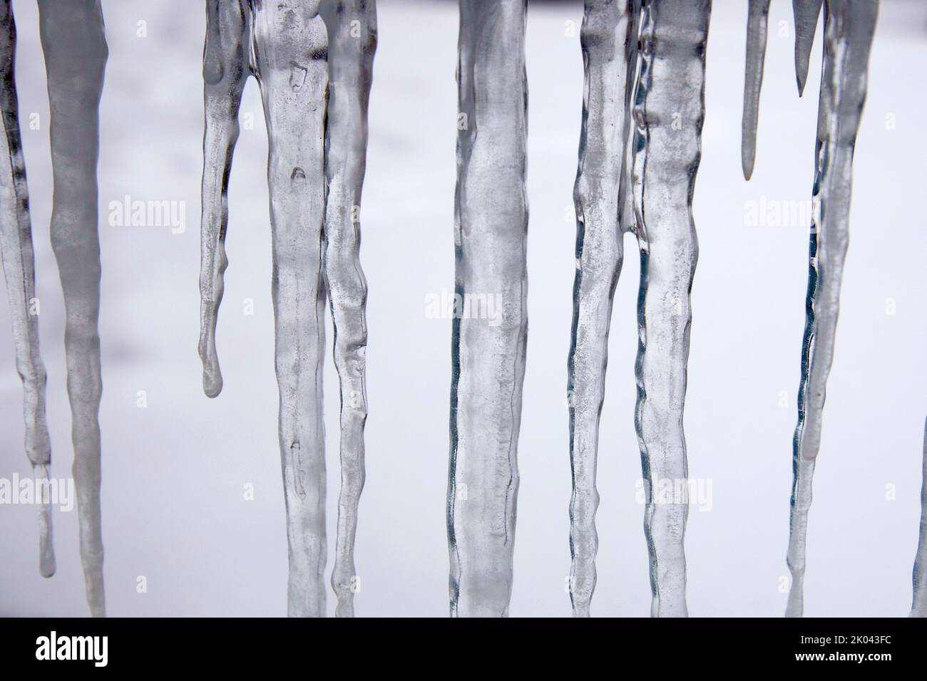 Large icicles against a white soft background Stock Photo - Alamy