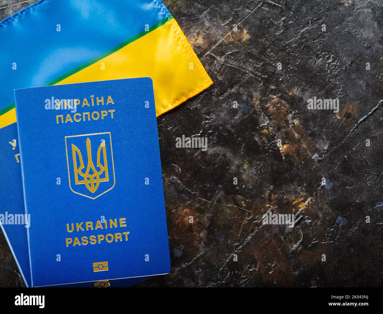 On a dark background, a yellow-blue flag of Ukraine and a biometric ...