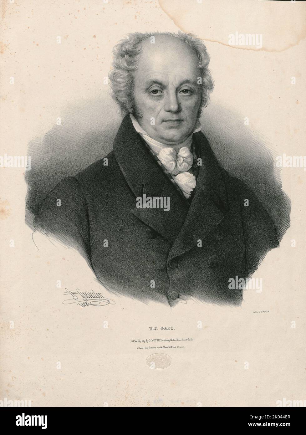 Franz joseph gall hi-res stock photography and images - Alamy