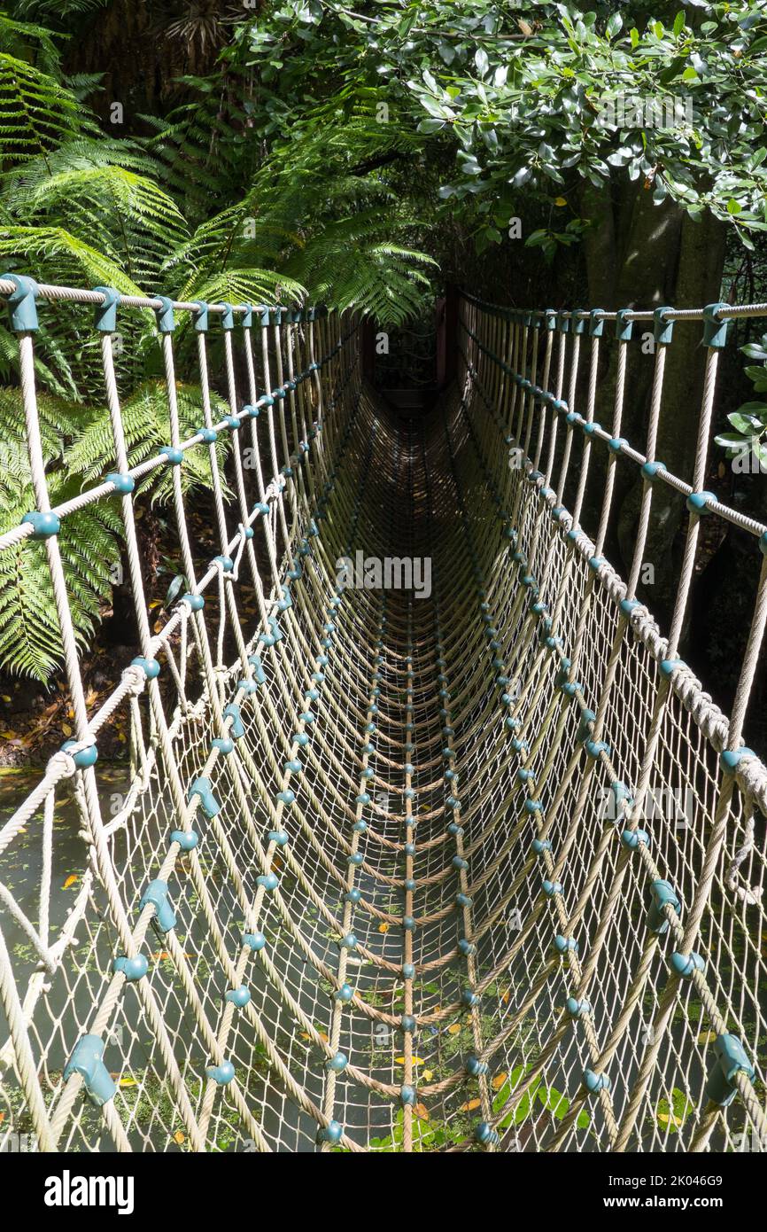 Suspended rope bridge crossing into lush vegetation Stock Photo - Alamy