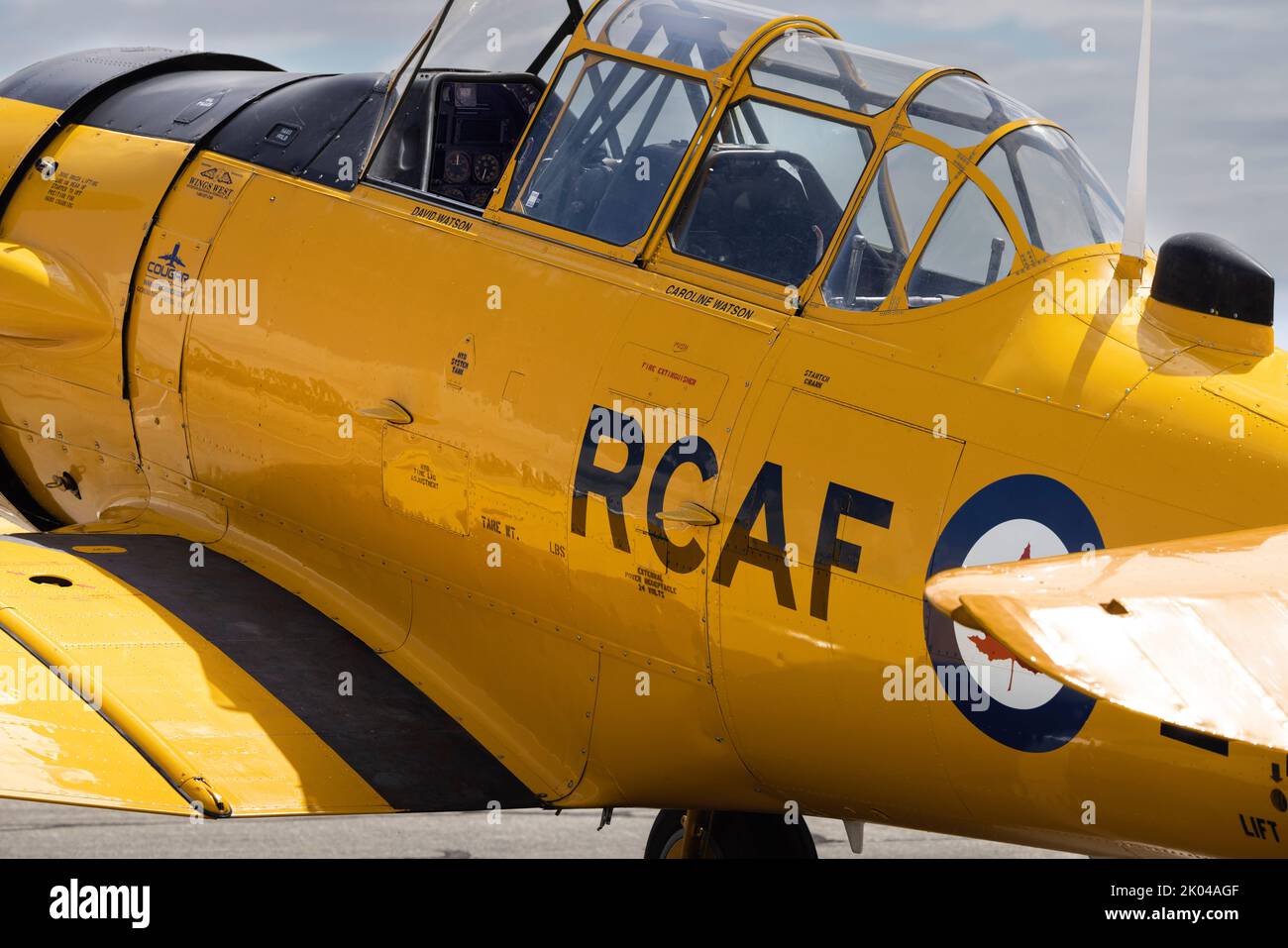 North American Harvards at Boundary Bay BC Canada Stock Photo - Alamy