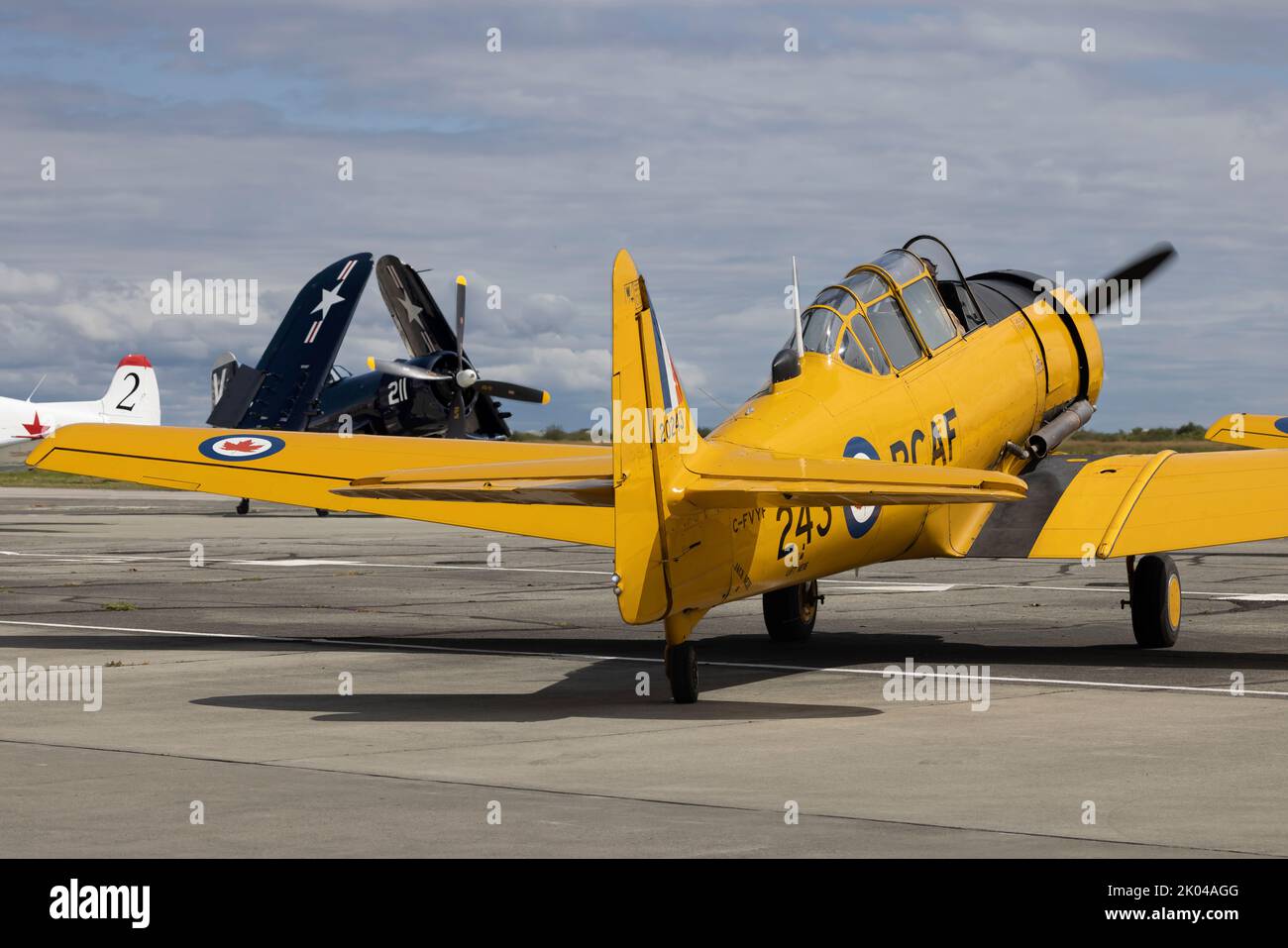 North American Harvards at Boundary Bay BC Canada Stock Photo - Alamy