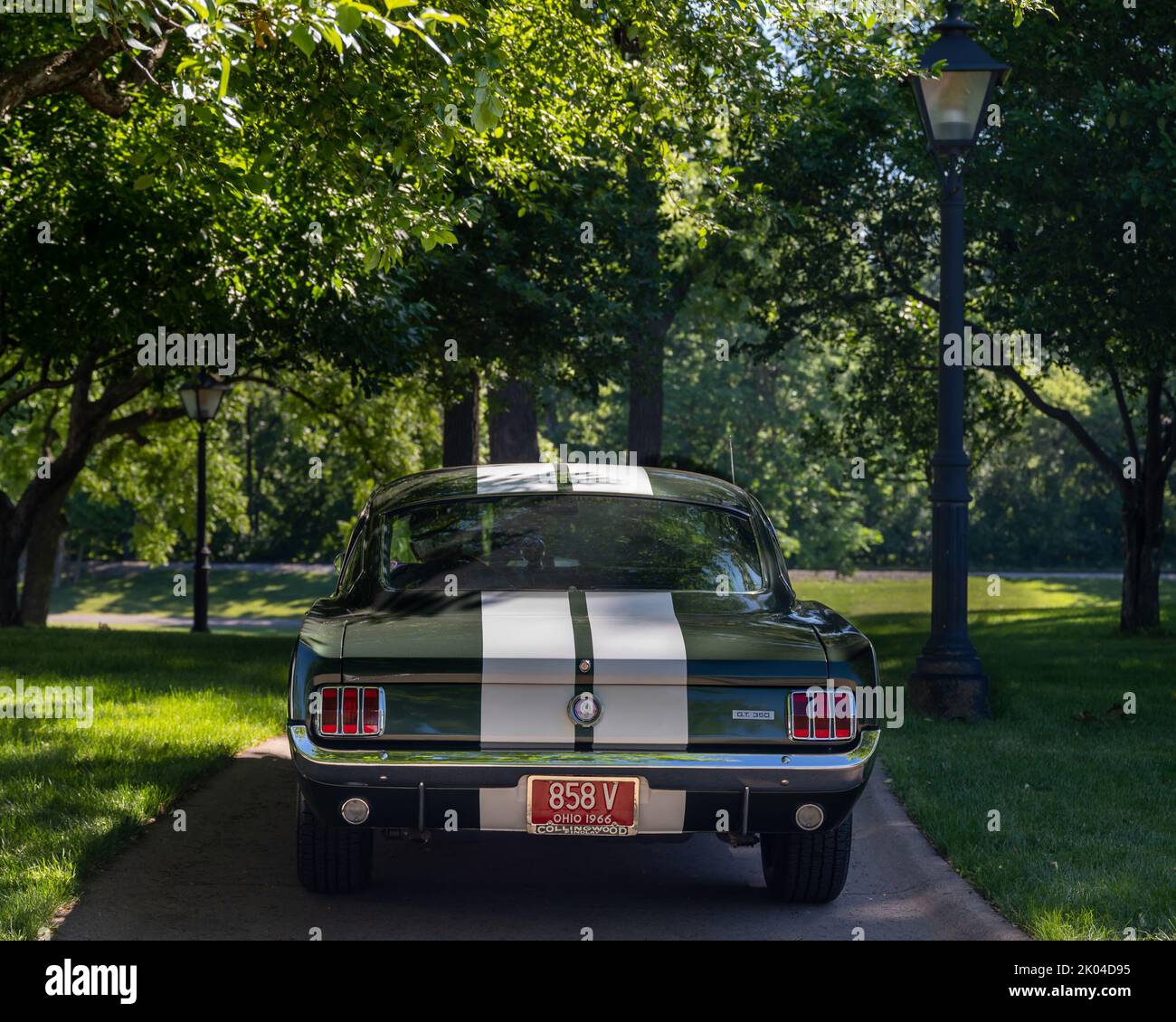 DEARBORN, MI/USA - JUNE 18, 2022: Man driving a 1966 Ford Mustang GT ...