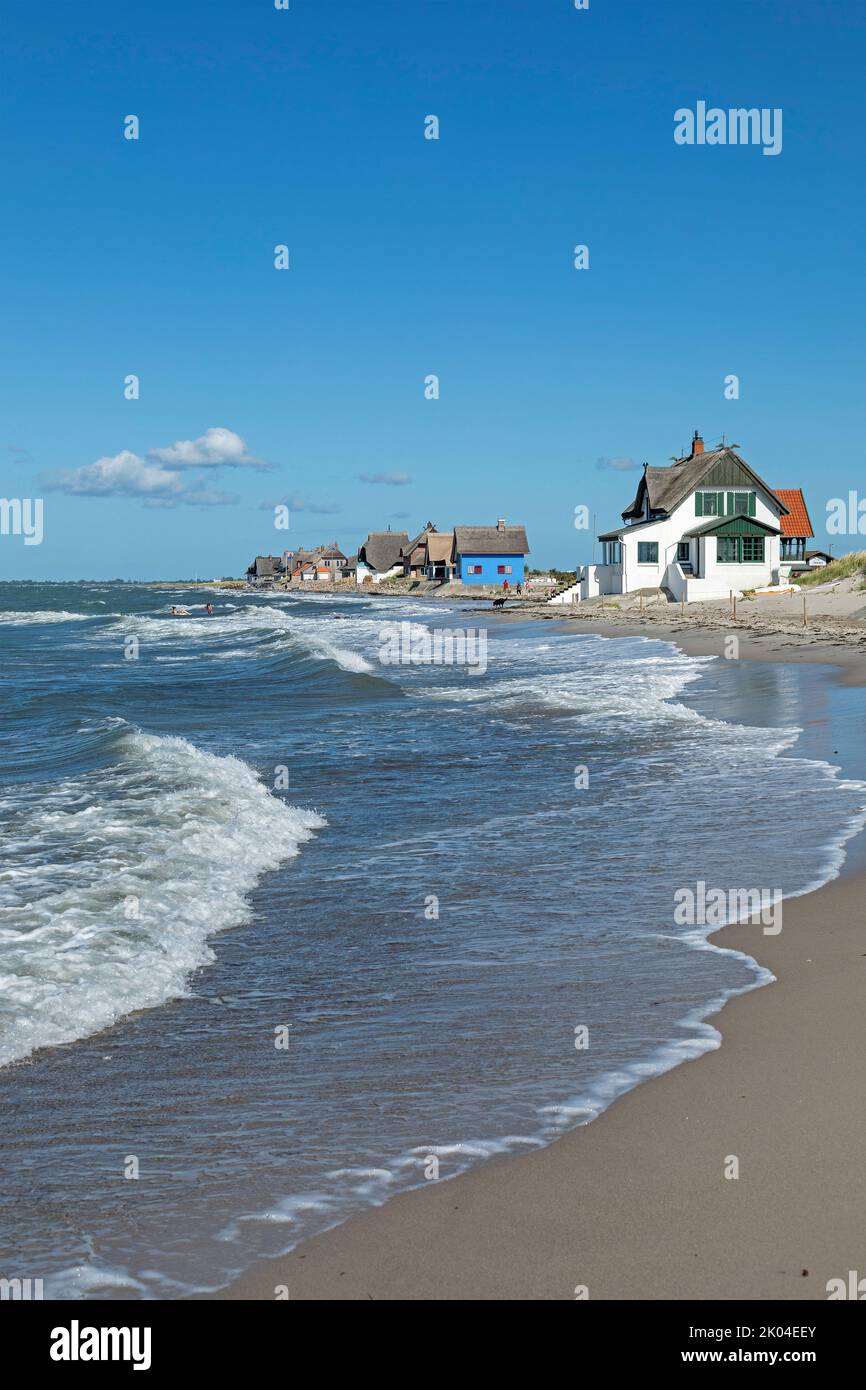 Thatched houses at the beach, Graswarder peninsula, Heiligenhafen ...