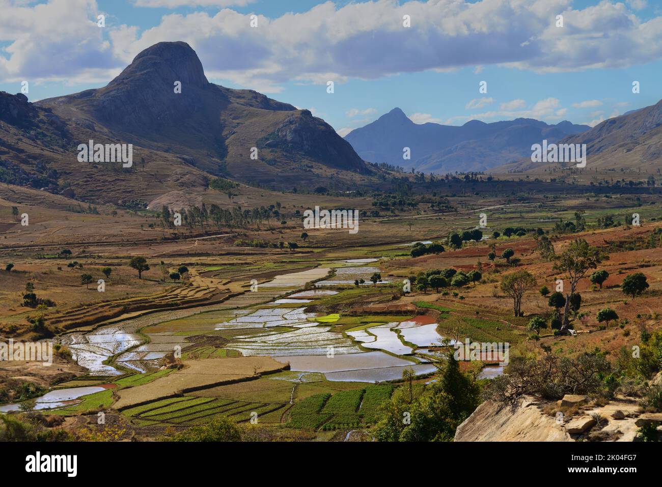 Panoramic view of rice fields and the highlands landscape near ...