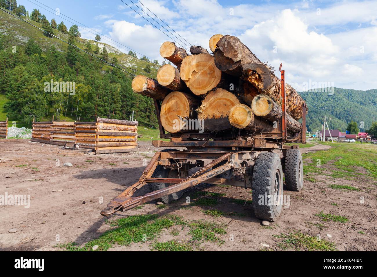 Truck trailer full of thick cedar logs stands on a roadside in Altay ...