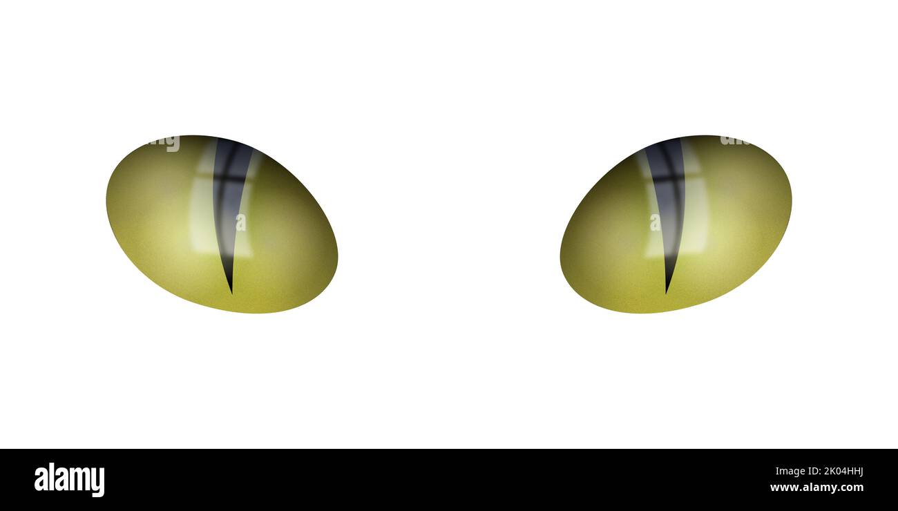 Isolated illustration of the cat eyes on the white background Stock ...