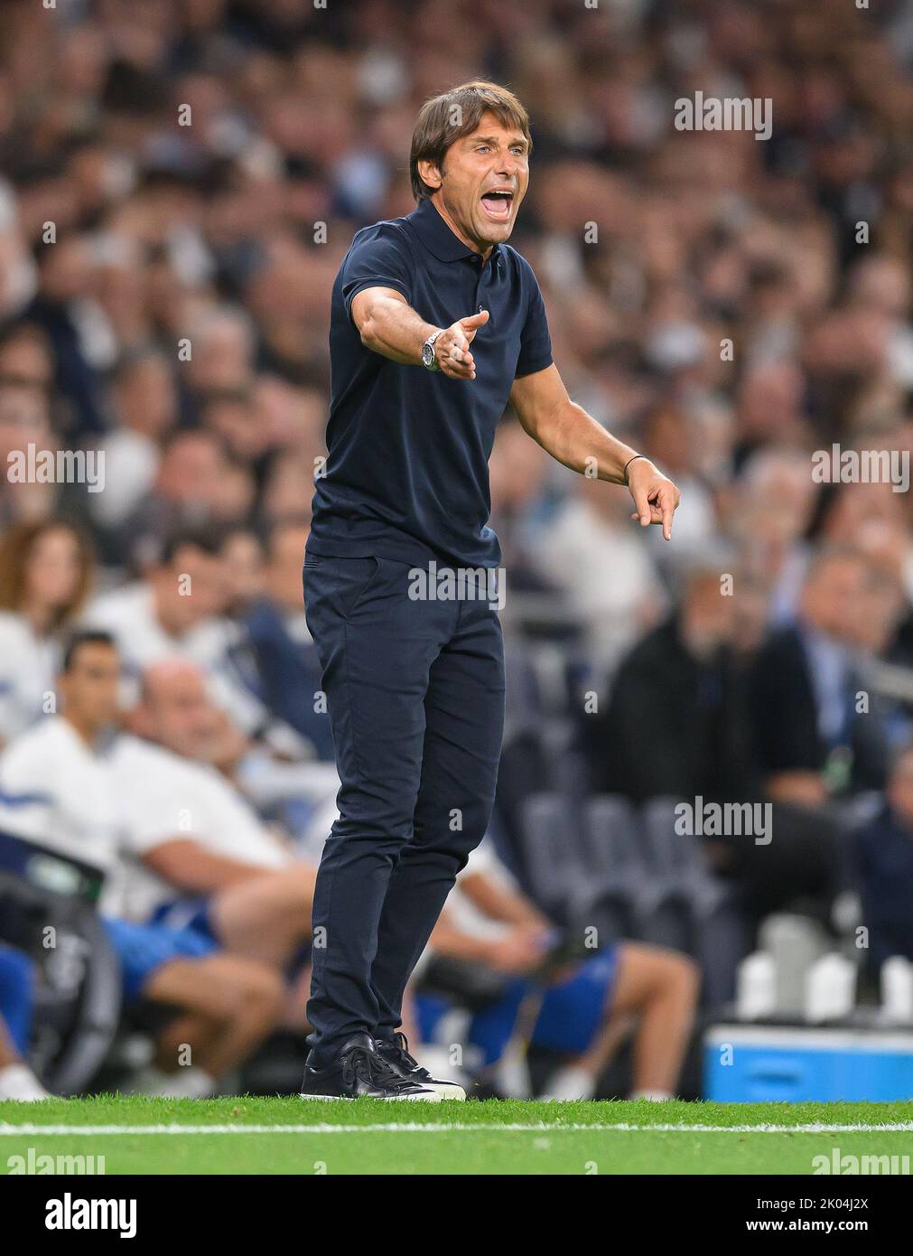 07 Sep 2022 - Tottenham Hotspur v Marseille - UEFA Champions League ...