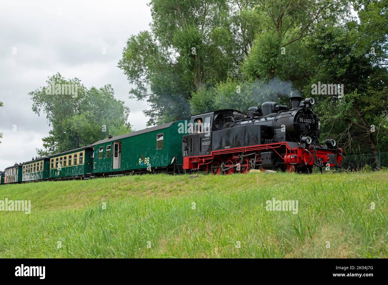 steam train Rasender Roland, Lauterbach, Putbus, Rügen Island ...