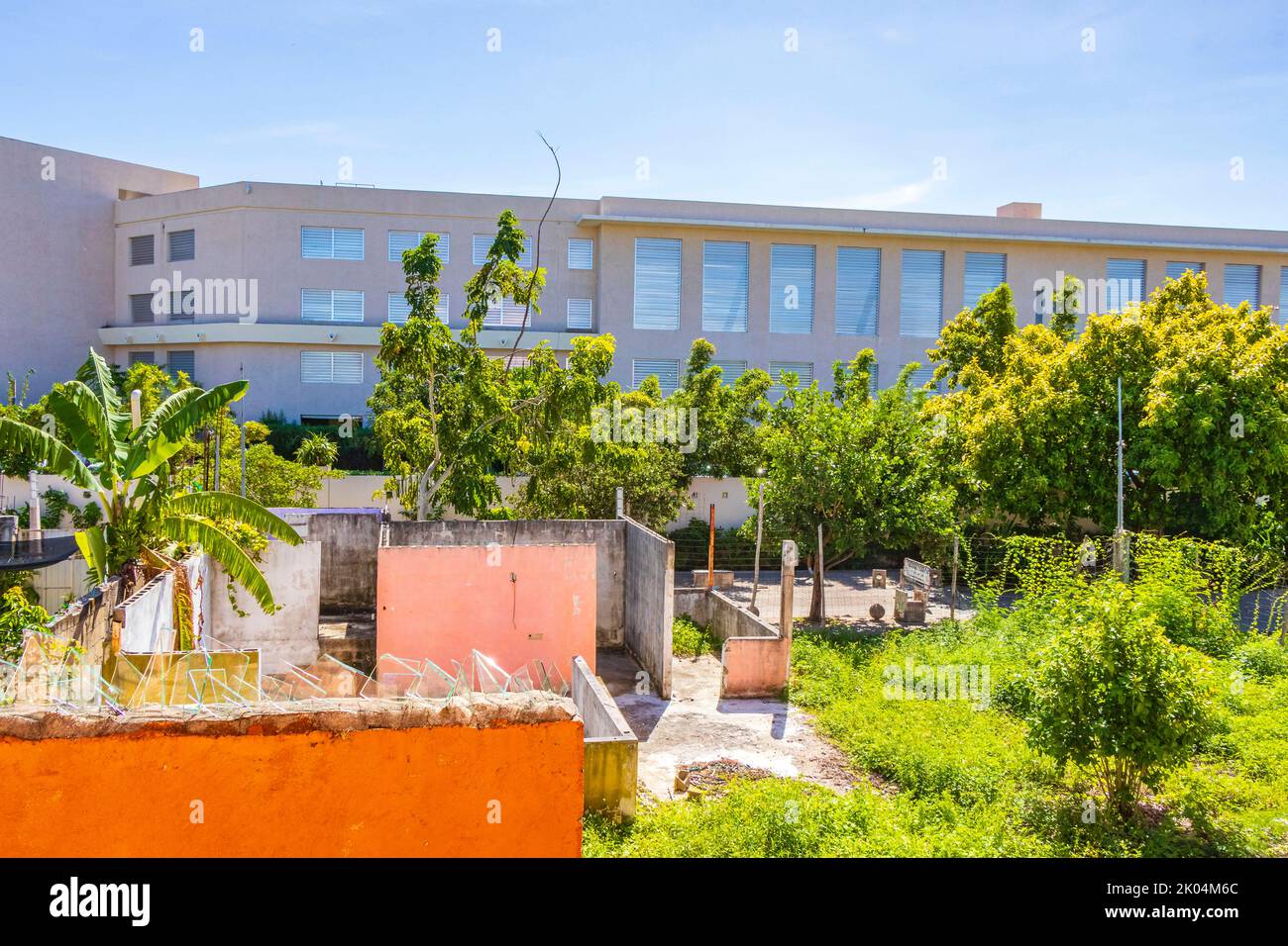 Panorama view from the terrace and balcony with palm trees green ...