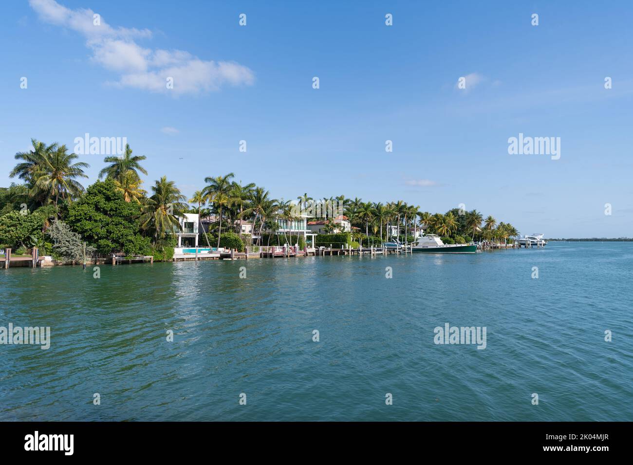 summer skyline landscape with palm trees and houses Stock Photo - Alamy