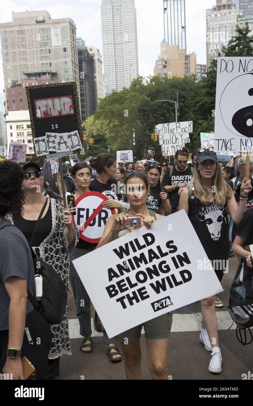 Peta animal rights banner hi-res stock photography and images - Alamy