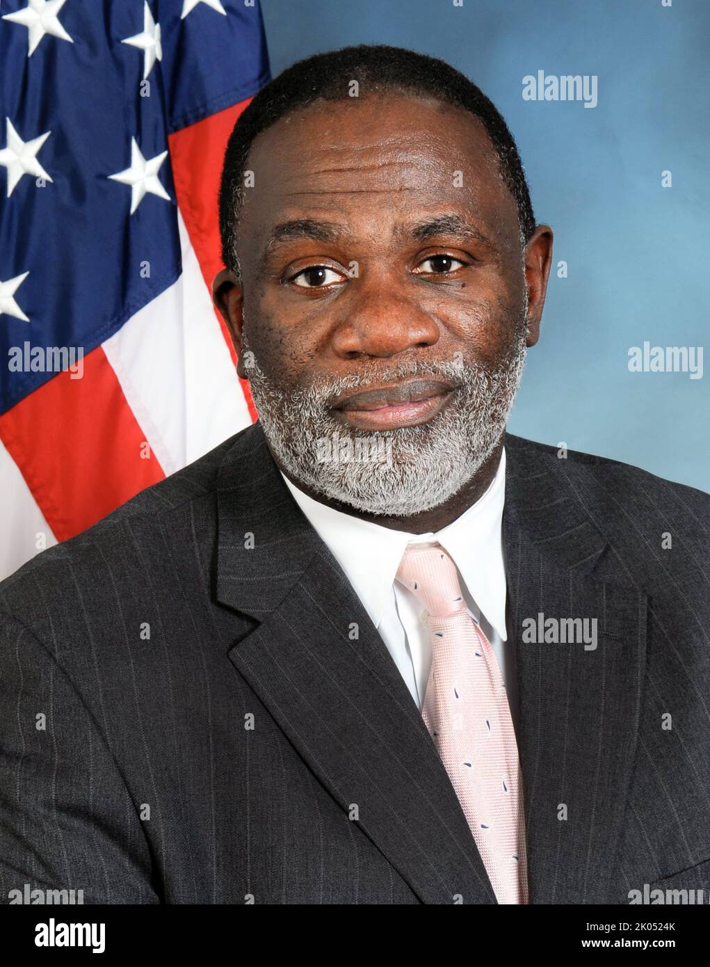 Official portrait of Jerry Williams, Chief Information Officer Stock ...