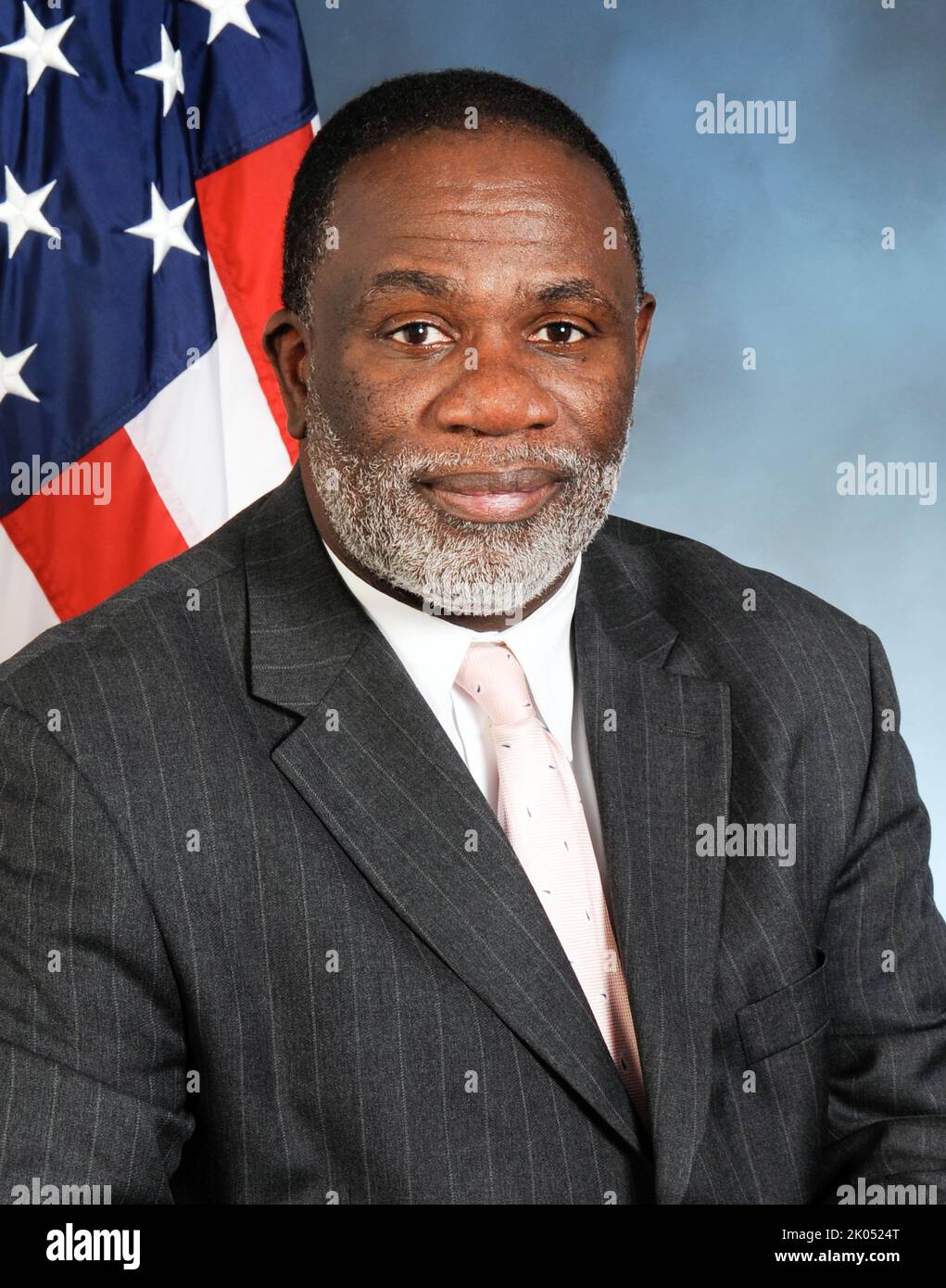 Official portrait of Jerry Williams, Chief Information Officer Stock ...