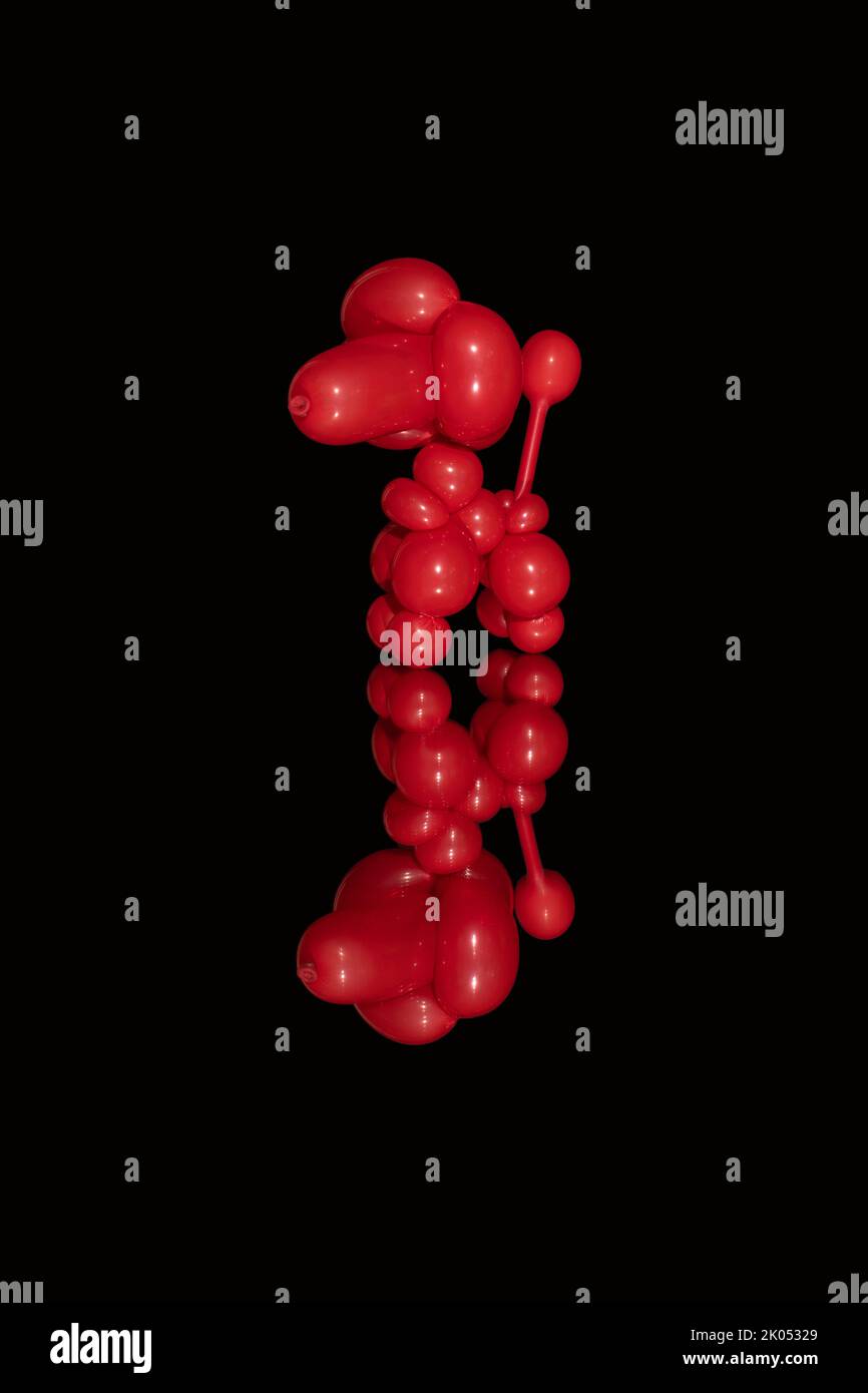 A cute, red balloon animal poodle dog, like an entertainer or clown ...