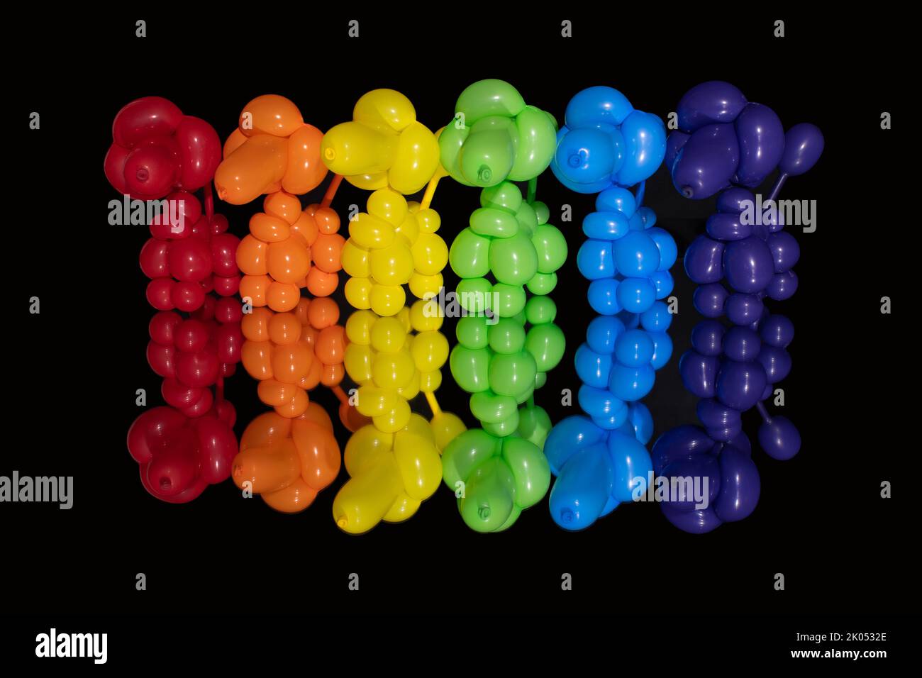 A colorful row of six, balloon animal poodle dogs lined over their ...