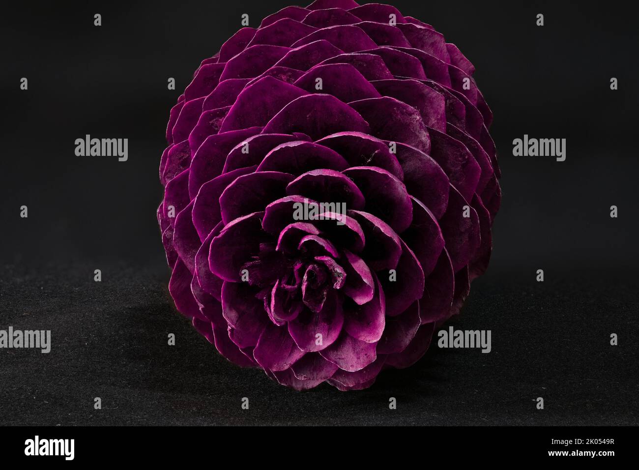 purple pine cone front view Stock Photo - Alamy