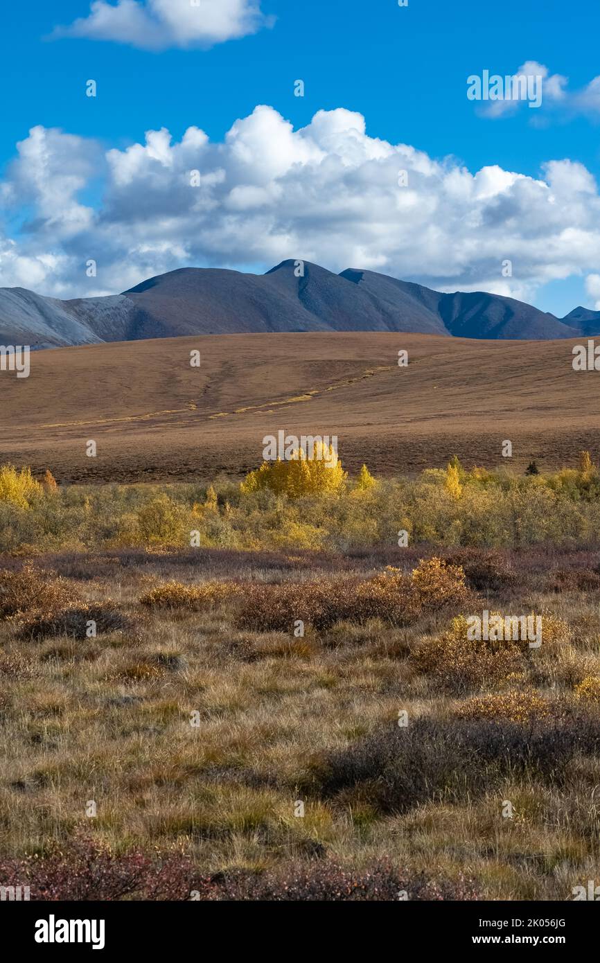 Yukon in Canada, wild landscape in autumn of the Tombstone park Stock ...