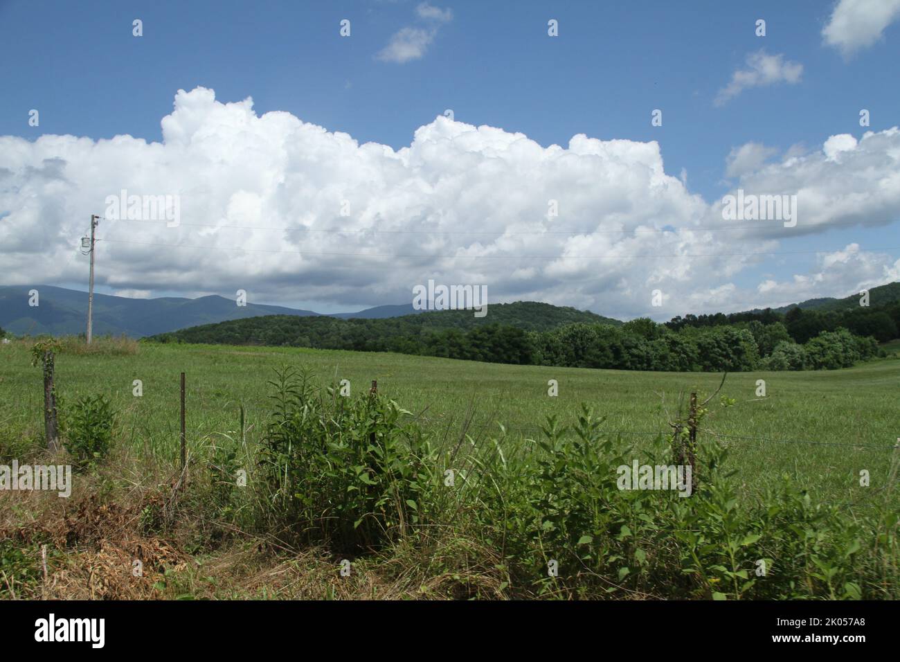 Landscape with pasture and a view of the Blue Ridge Mountains in ...