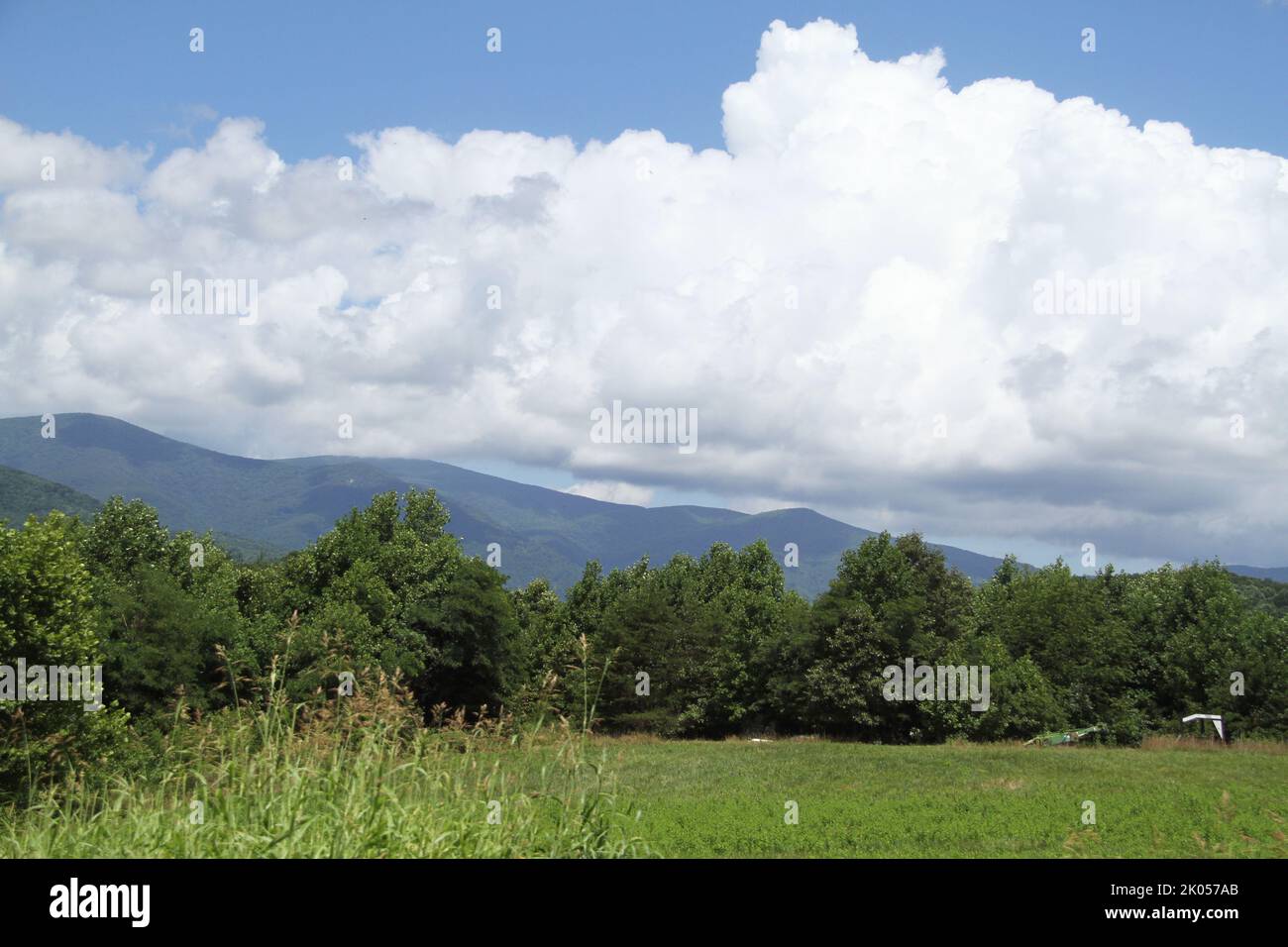 Beautiful landscape large pasture hi-res stock photography and images ...