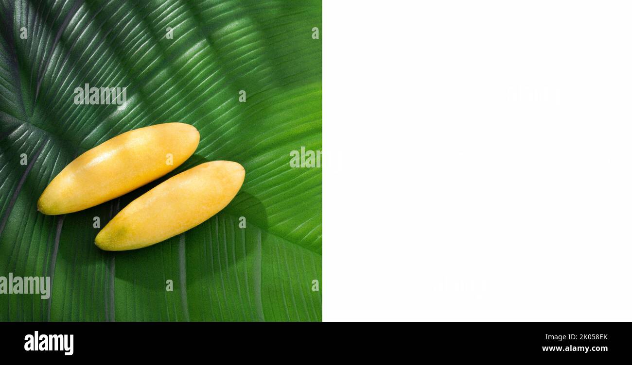 Passiflora tripartita - Ripe and fresh tropical fruit curuba Stock ...