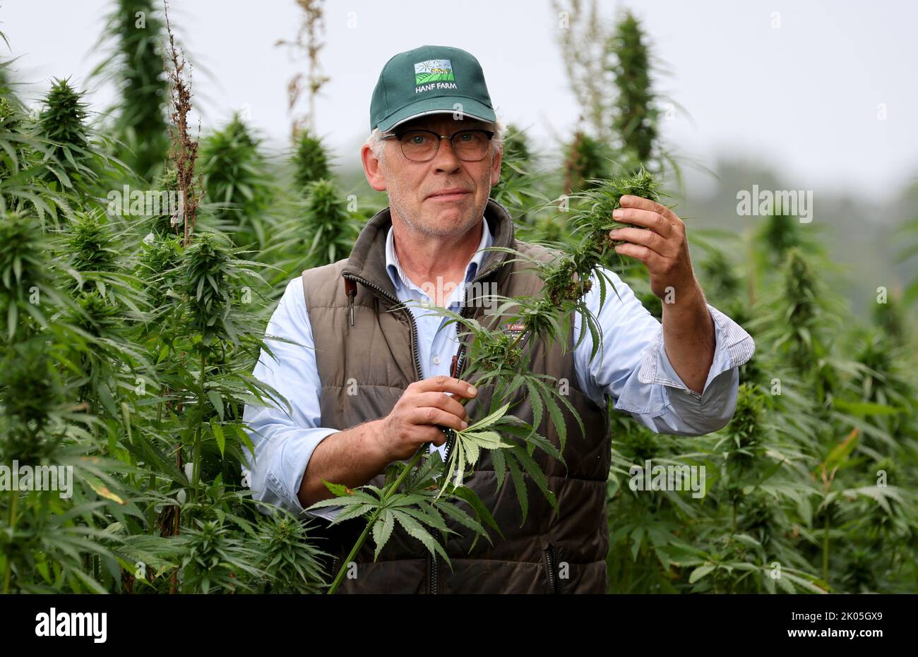 Farmer looks plants in hi-res stock photography and images - Alamy