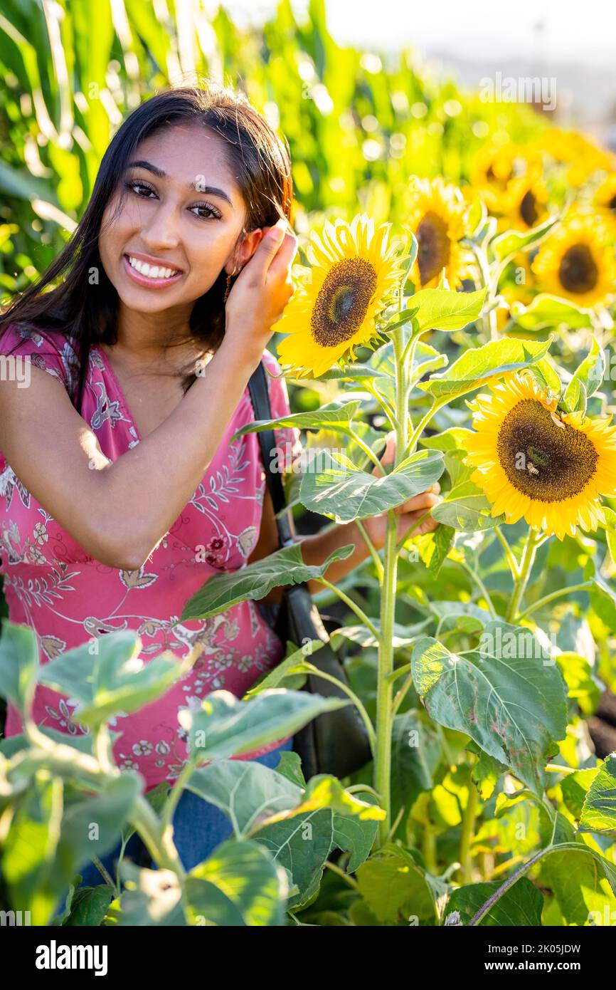 Fall Celebration Portrait of a Young Indian Woman Standing in a Field ...