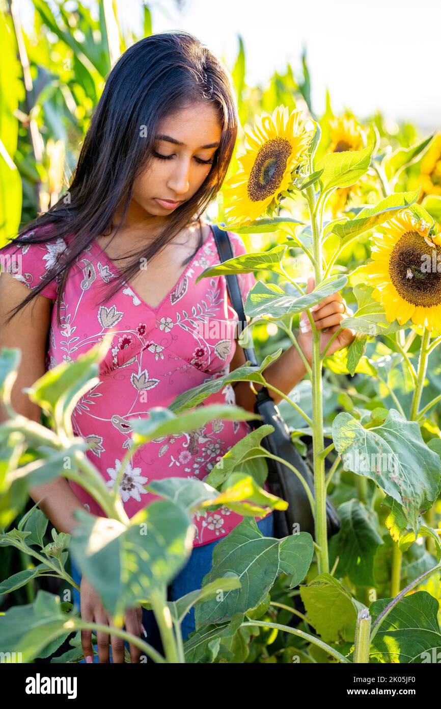 Fall Celebration Portrait of a Young Indian Woman Standing in a Field ...