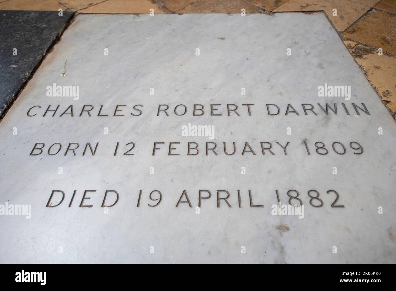 Charles Robert Darwin tomb in Westminster Abbey. The church is World ...
