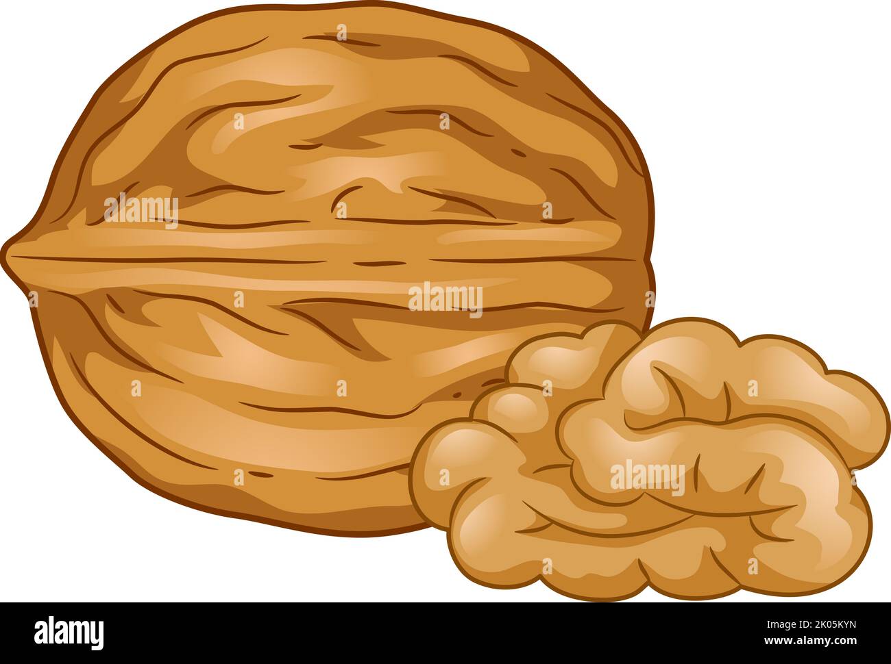 Illustration of Walnuts, One with Shell Stock Photo - Alamy