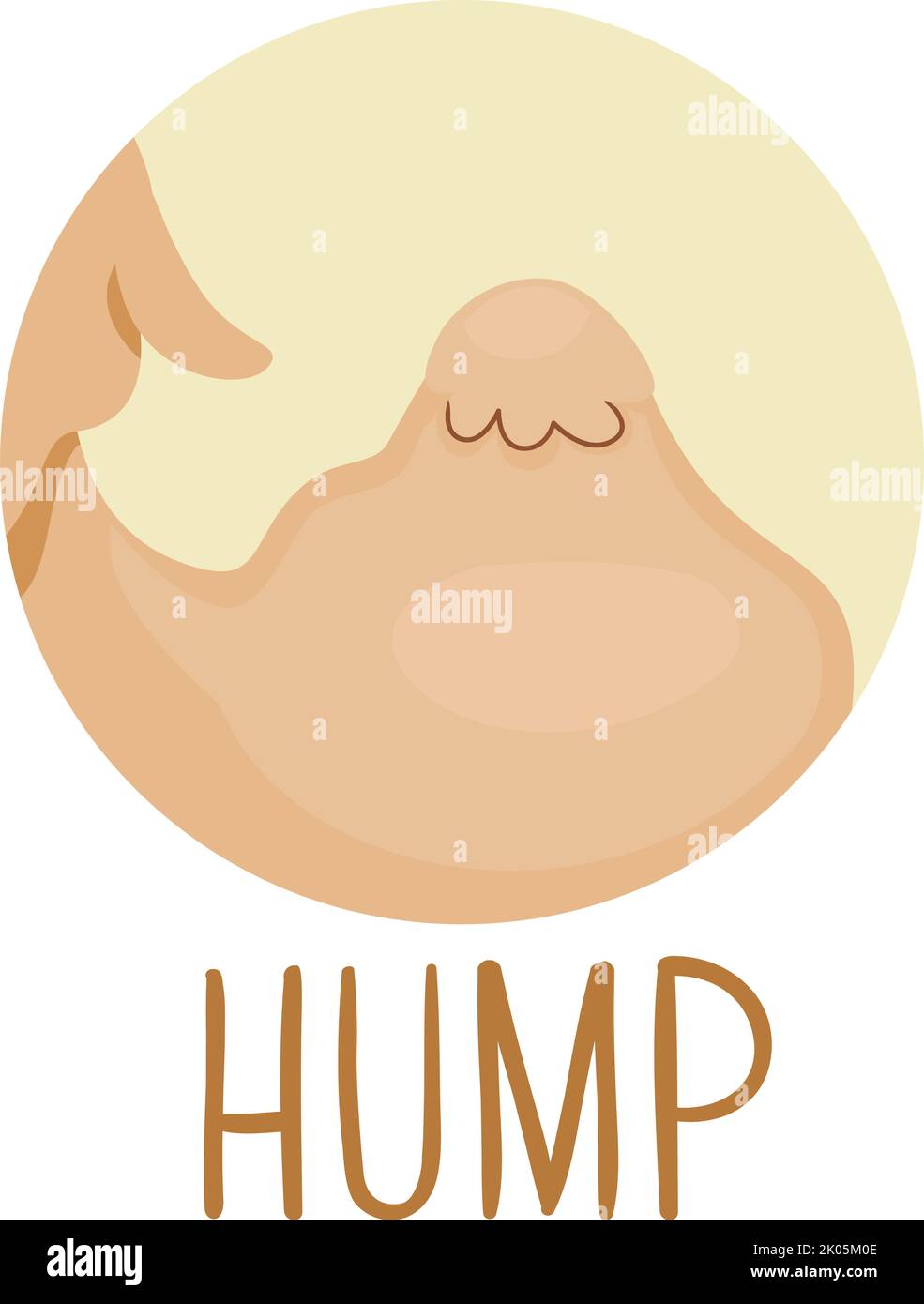 Illustration of a Camel Animal Showing Its Hump. Learning Body Parts ...