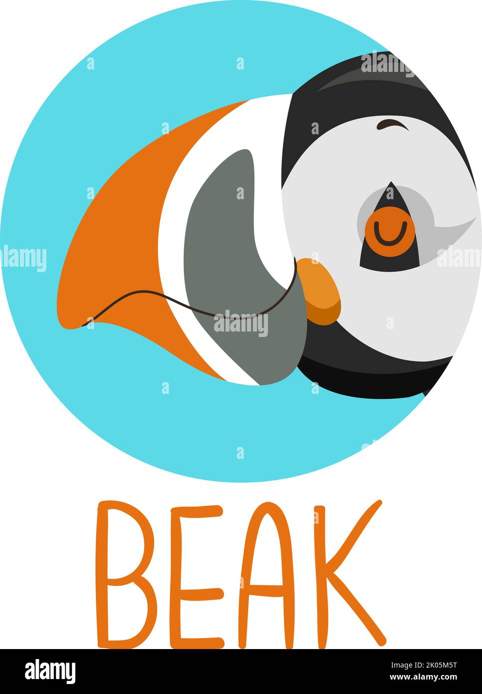 Illustration of a Puffin Bird Animal Showing Its Beak. Learning Body ...
