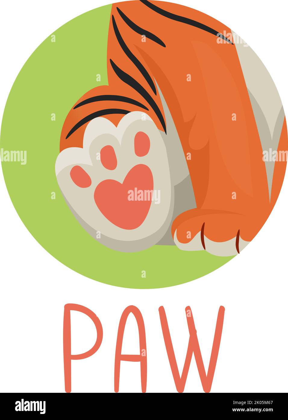 Illustration of a Tiger Big Cat Animal Showing Its Paw. Learning Body ...