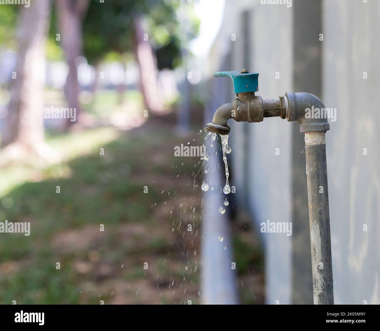Drip watering system hi-res stock photography and images - Alamy