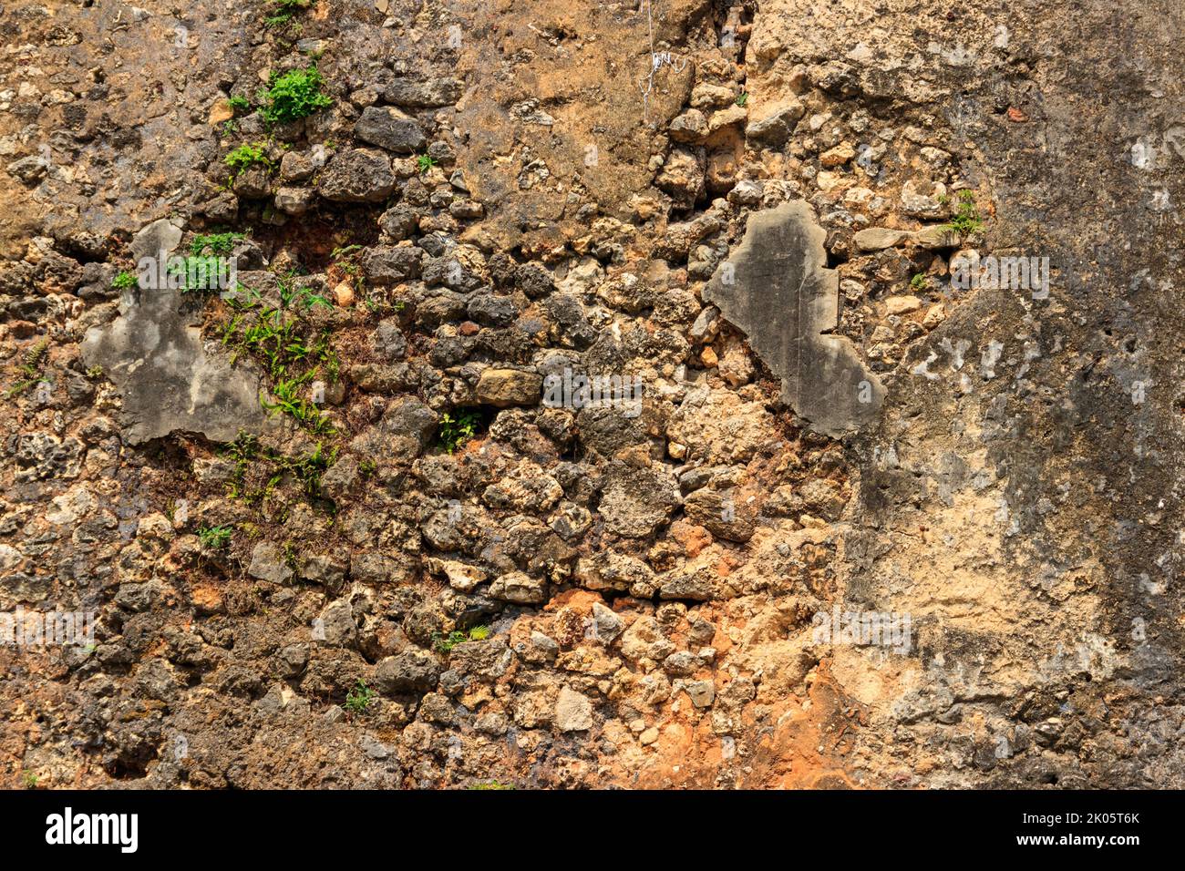 Shell fossil stone building hi-res stock photography and images - Alamy