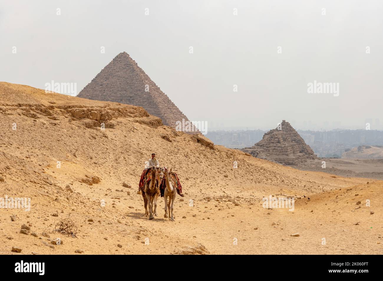 Cairo/ Egypt. 08/28/2022. Tour guide on camel with the view of the ...