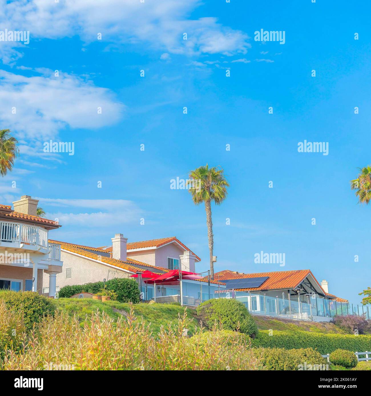 Square White puffy clouds Large residential houses and palm trees at ...
