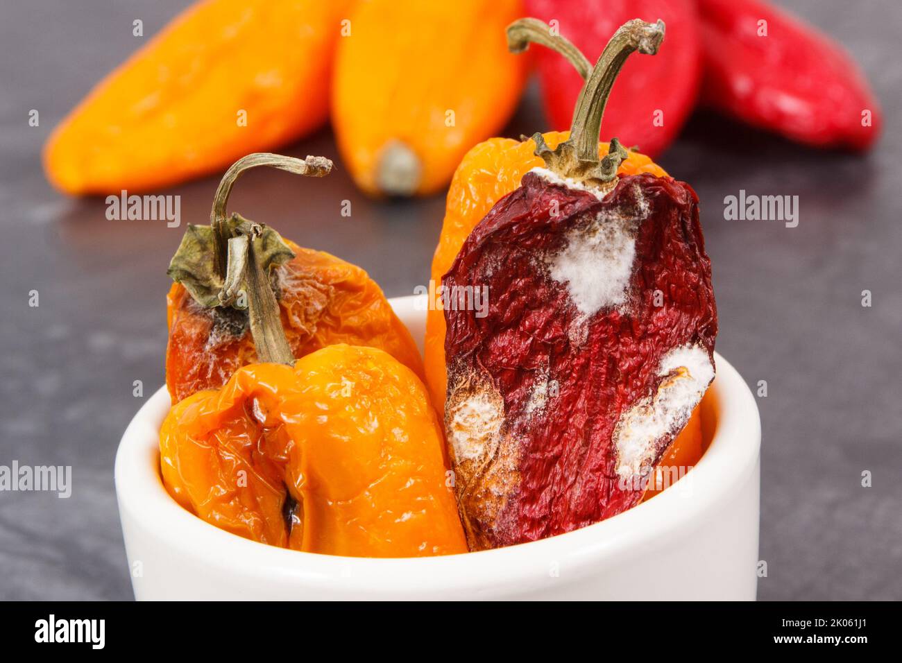Old wrinkled peppers with mold, concept of unhealthy and disgusting ...