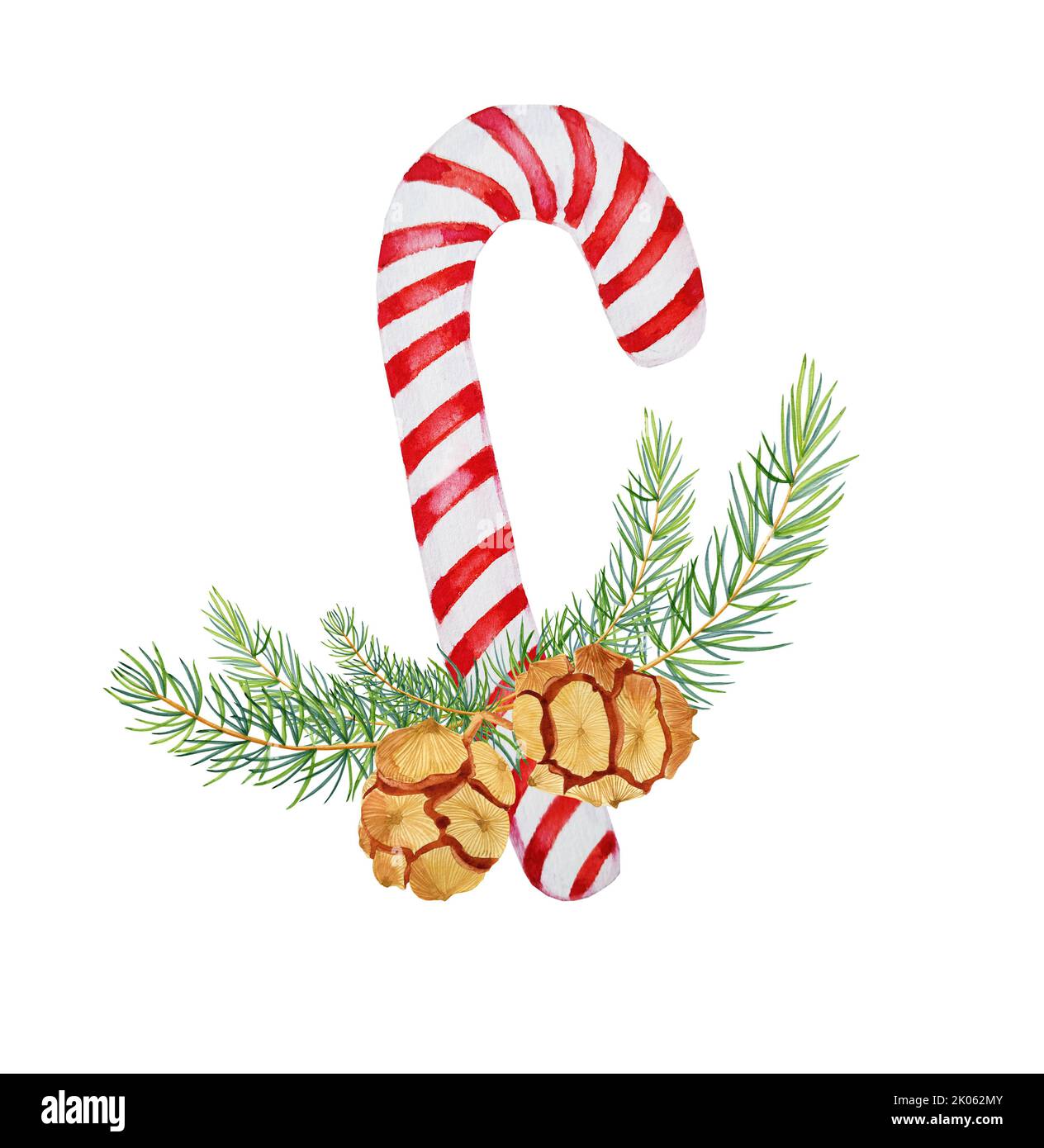 Traditional Christmas red and white candy decorated with coniferous ...