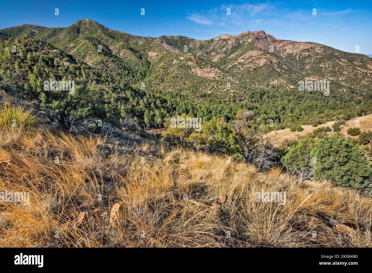 View across Mormon Canyon, Johnson Peak on right, from Mormon Ridge ...