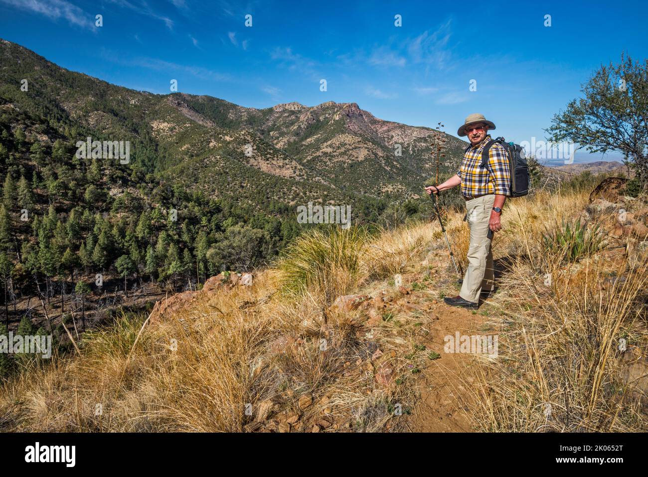 Hiker on Mormon Ridge Trail, view across Mormon Canyon, Johnson Peak ...