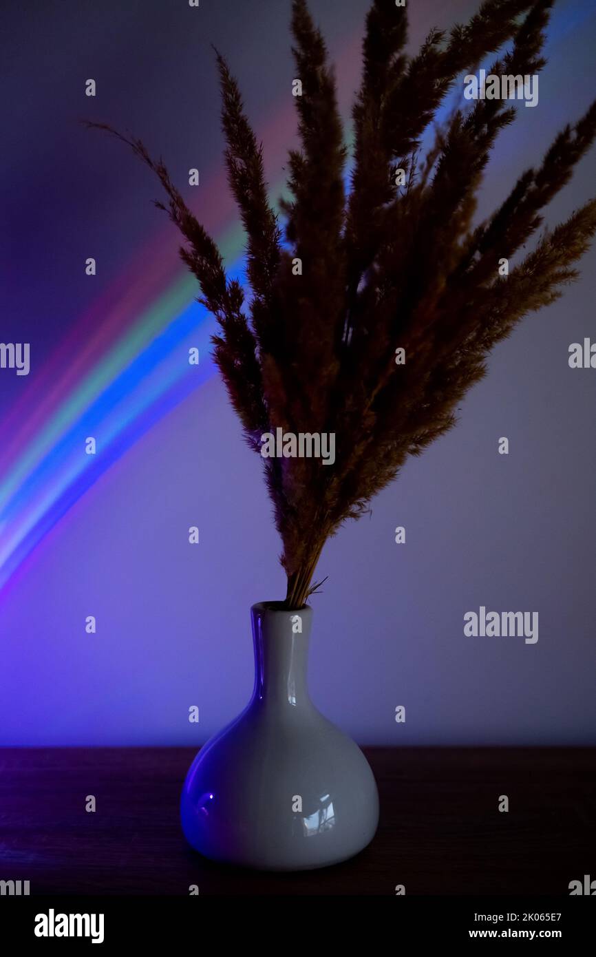home decor minimal composition night straw rainbow Stock Photo - Alamy