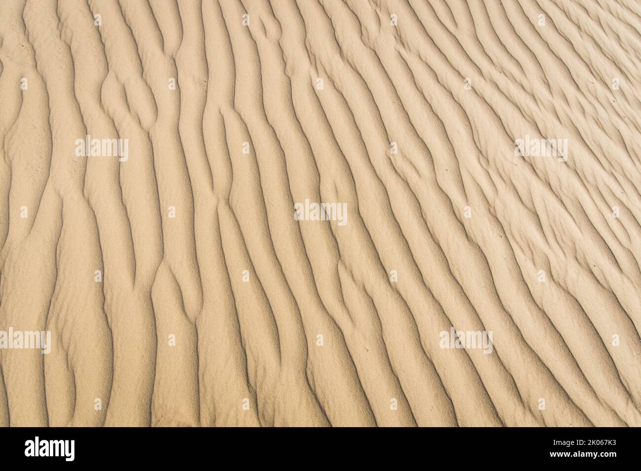 Clean pattern of fine sand in a desert usable as a background Stock ...