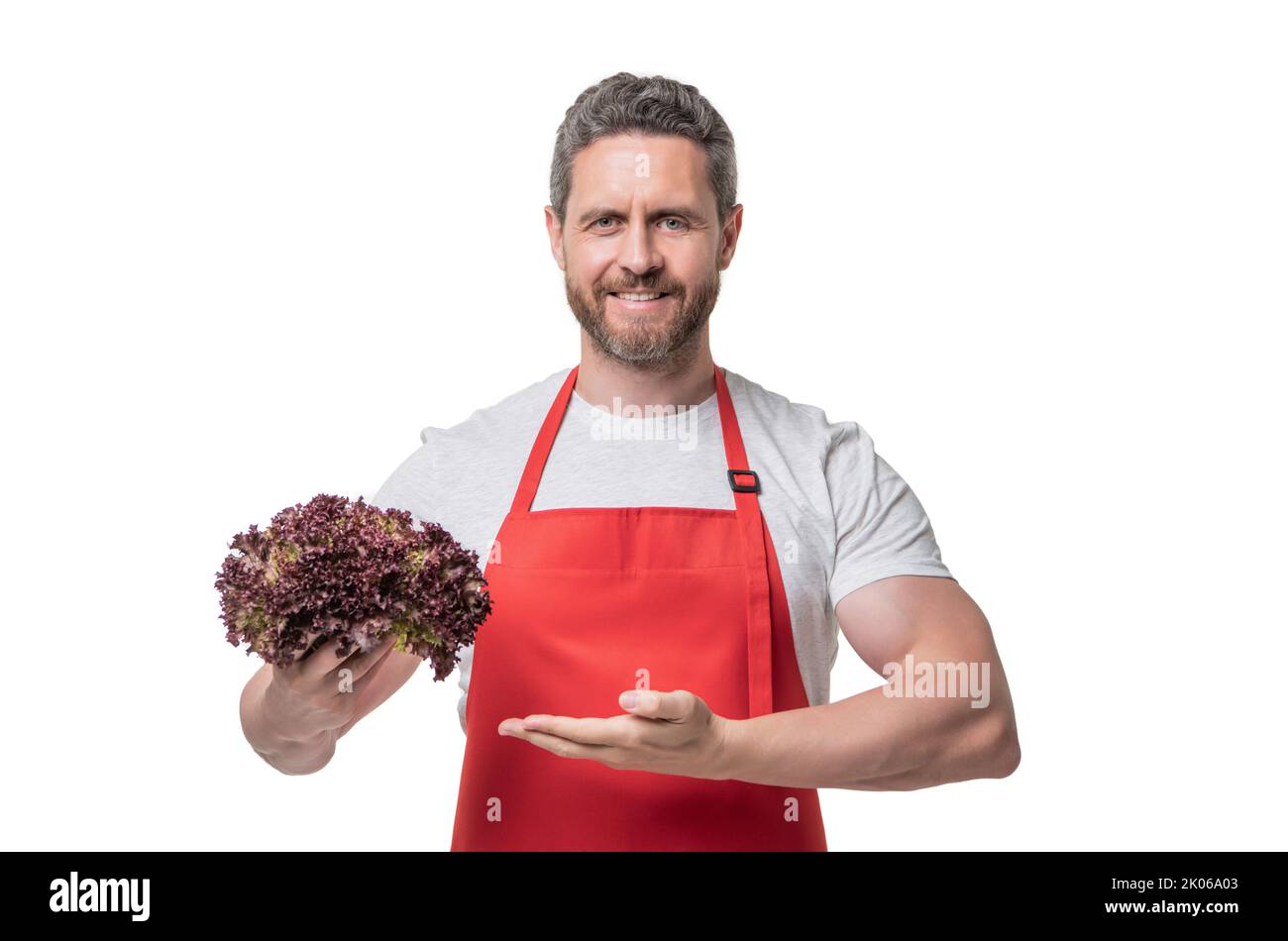 man in apron with lettuce vegetable isolated on white background Stock ...