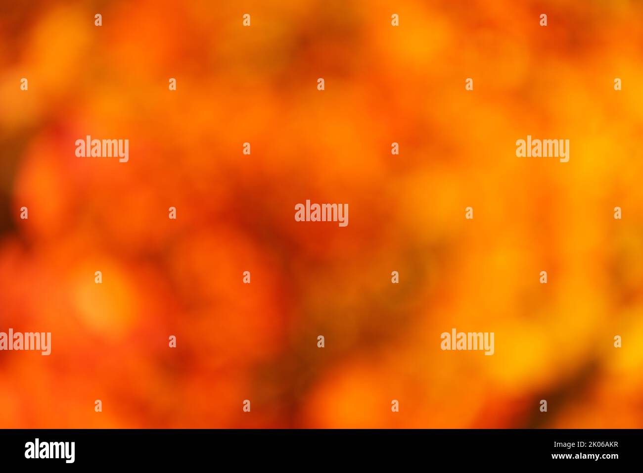 blurred orange background. orange color blurred background. orange ...