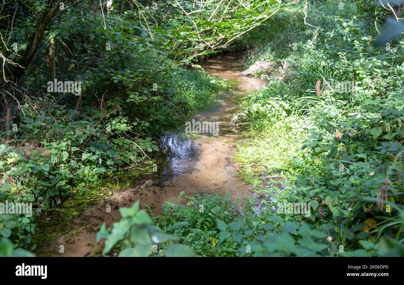 Suffolk spring wildlife hi-res stock photography and images - Alamy